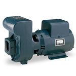 DHHG-53L Sta-Rite Self Priming Centrifugal Pump (2-1/2 HP, 1 Phase, 115 ...