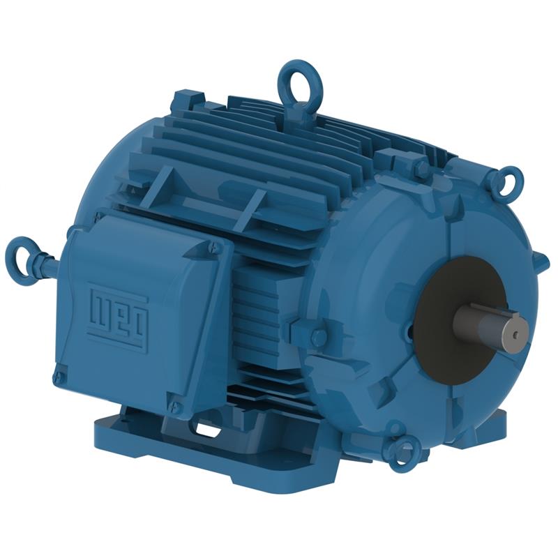 00218AT3ECT145TF1-W2 WEG NEMA Premium Efficiency Motor (2 HP, 1800 RPM ...